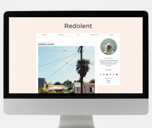 redolent monitor - blogzilla